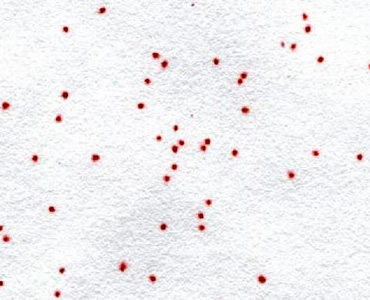 Micro-Tracers, Inc | Microtrace Solutions | Micro-Tracers, Inc