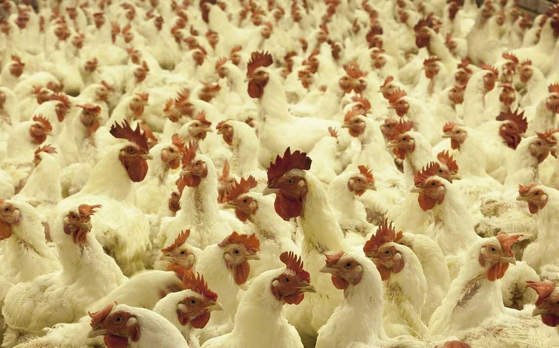 Micro-Tracers, Inc | Microtrace Solutions | Micro-Tracers, Inc